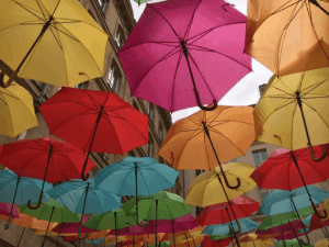 Bower Roebuck - Collection - Leading textile manufacturer producing ...